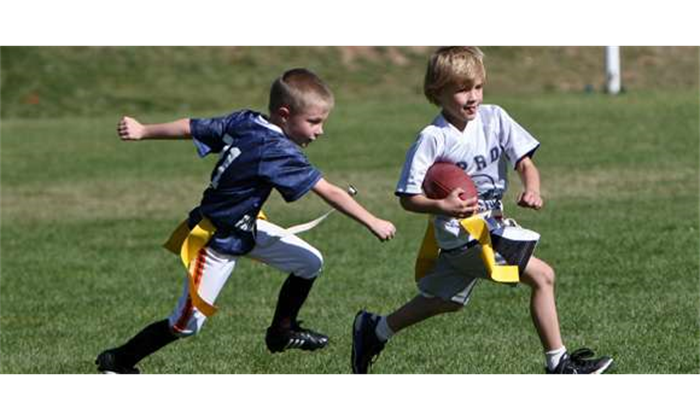 Home [www.jccbaseball.com]